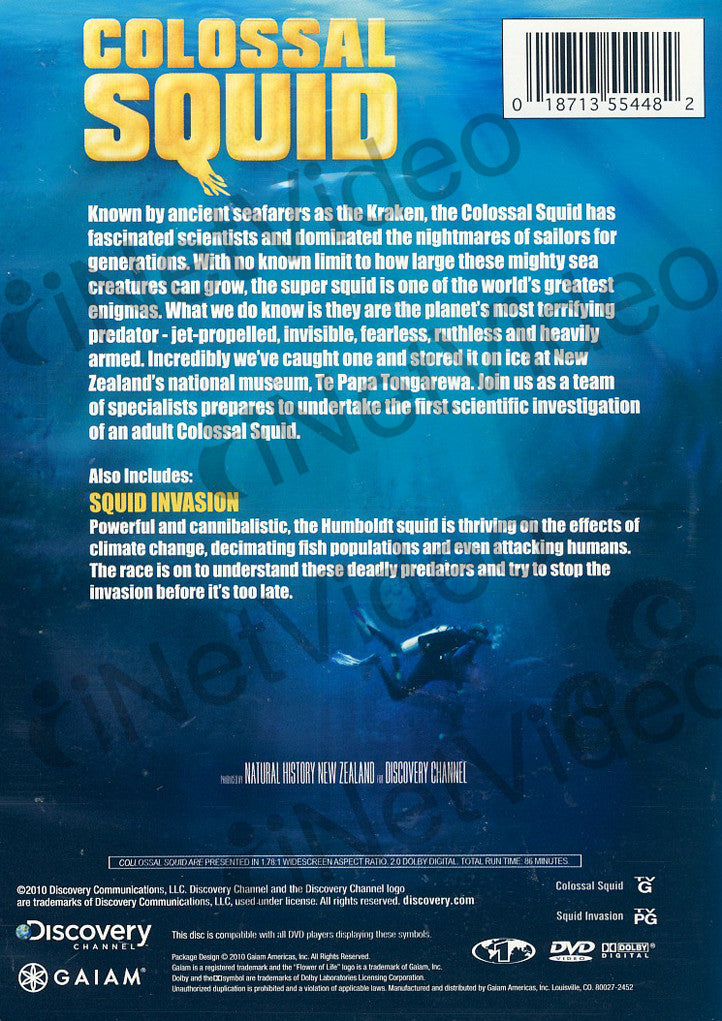 Colossal Squid on DVD Movie